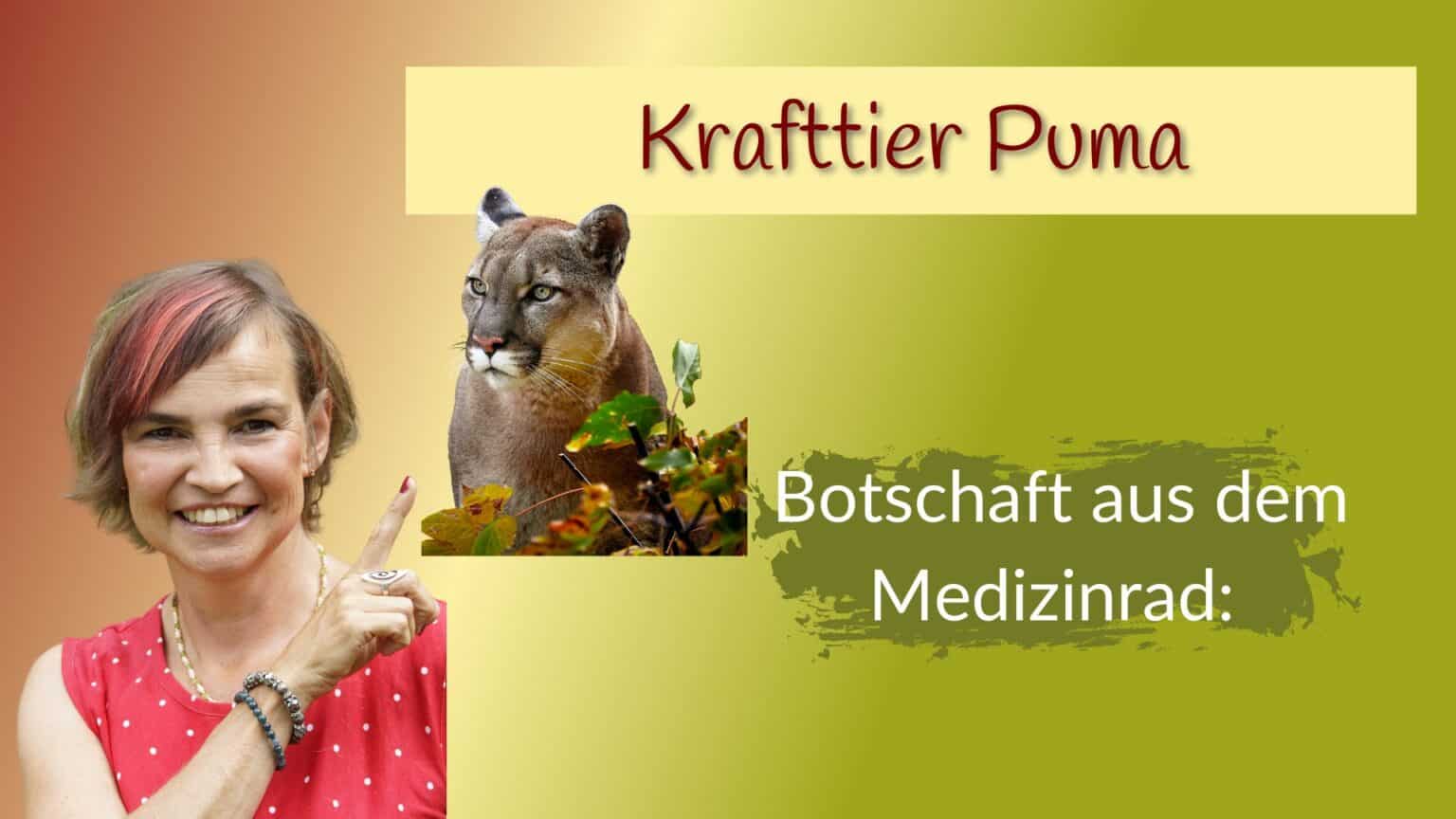 Krafttiere: Bedeutung und Botschaft, die ultimative Liste