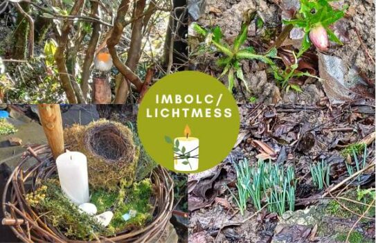 Imbolc / Lichtmess - Hol dir mit Ritualen das Licht in dein Leben